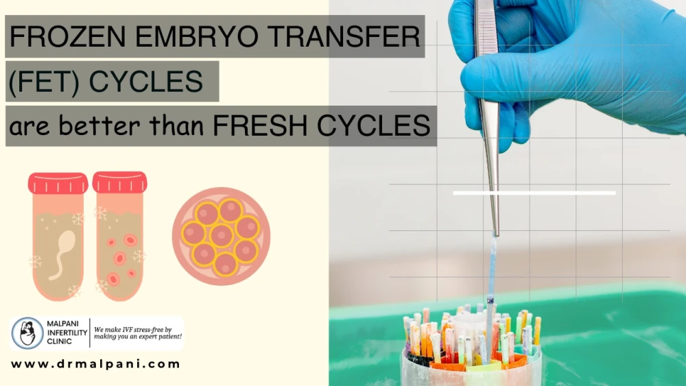 The Beauty of Frozen Embryo Transfers