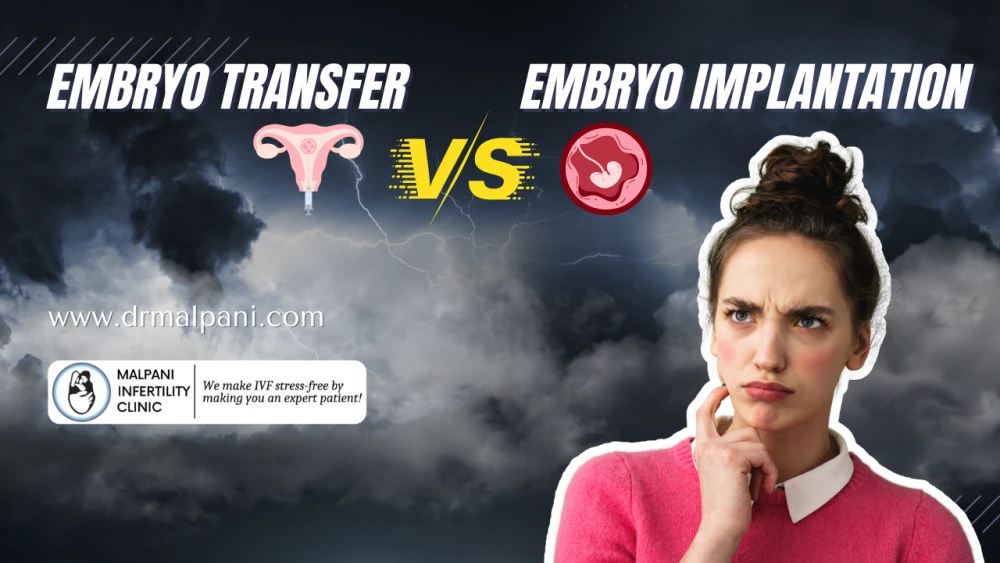 Embryo Transfer vs Implantation: Key IVF Differences Expl...