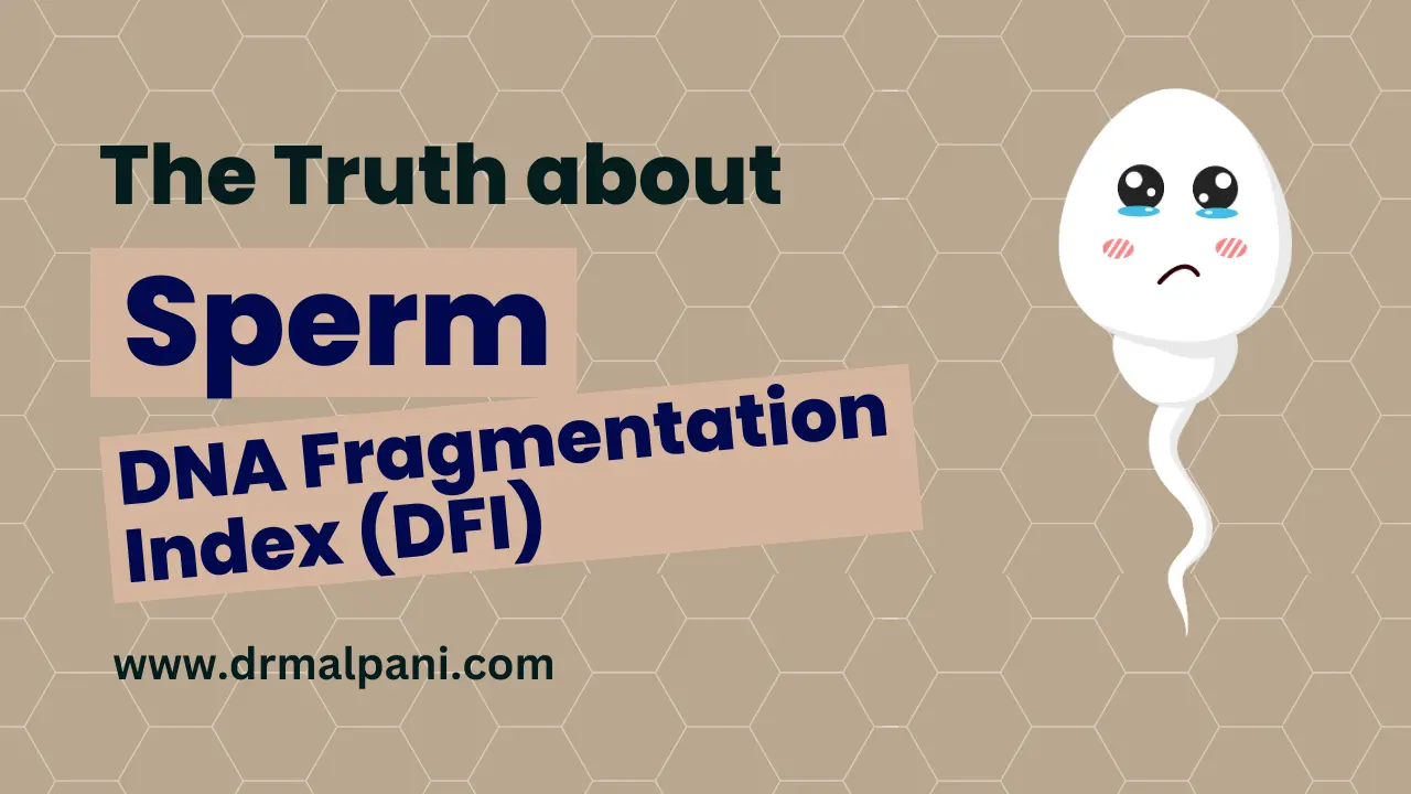 The Truth About Sperm DNA Fragmentation Index: A Conversation with Dr ...