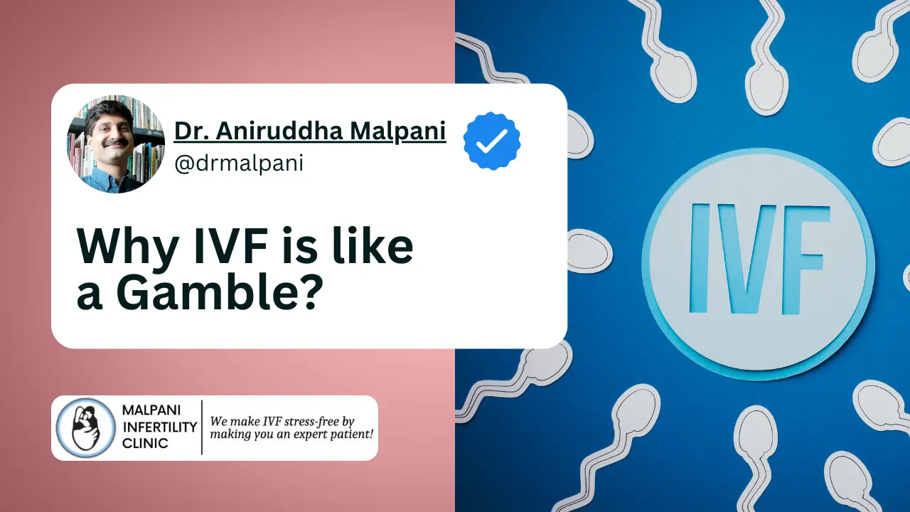 Understanding the Uncertainty and Setting Realistic Expectations in IVF