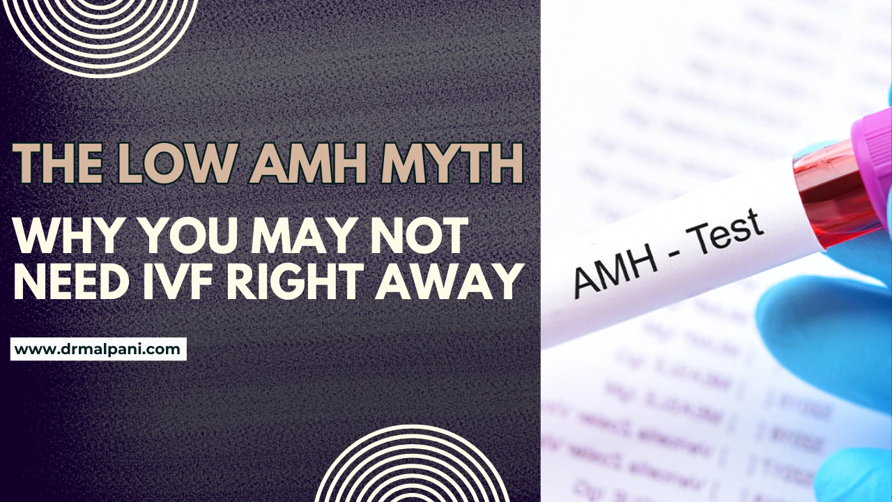 The Low AMH Myth – Why You May Not Need IVF Right Away