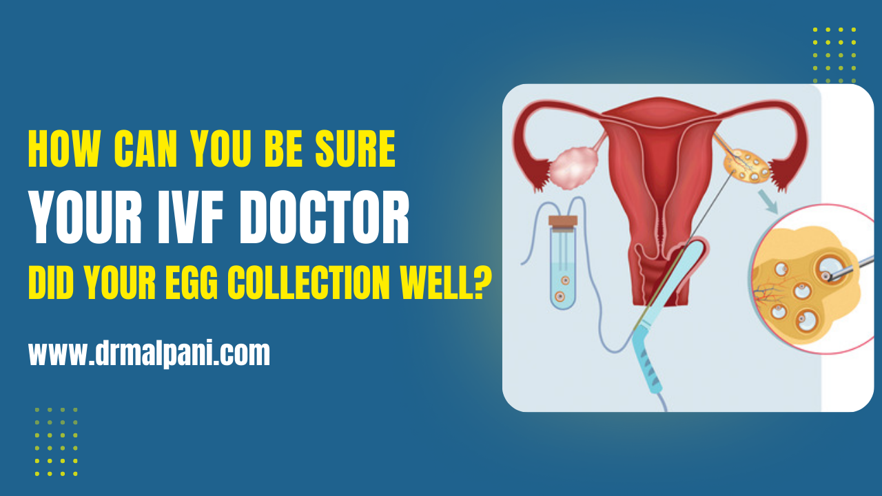 How to Assess Egg Collection Quality in IVF Treatment