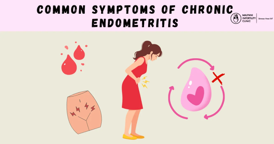 Chronic Endometritis & CD138 Test: Complete Guide