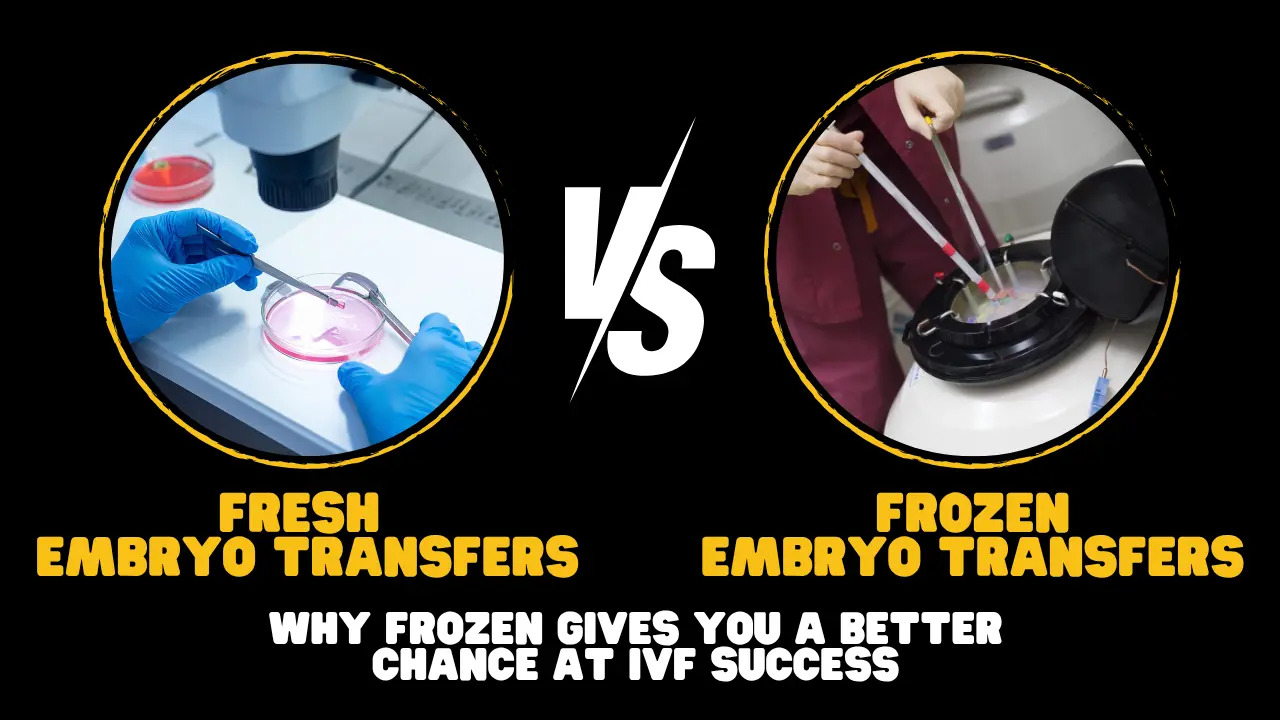 Fresh vs Frozen Embryo Transfer: What Works Better